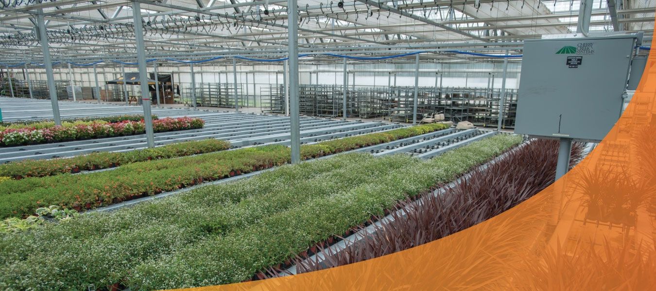 Greenhouse Watering & Irrigation System Technology | Cherry Creek