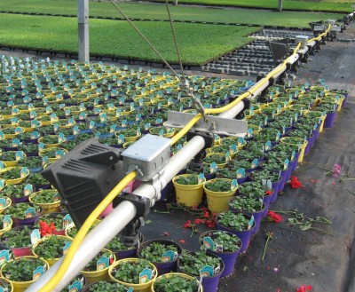 Increase Greenhouse Efficiency with Boom Lighting - Cherry Creek ...